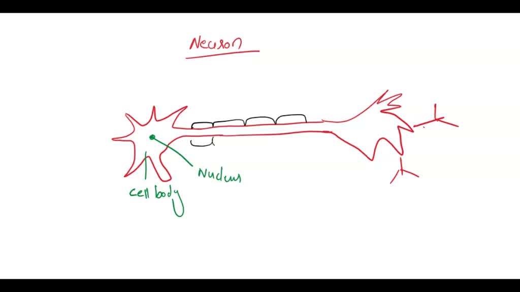 The following slides include a pattern of light (indicated in yellow ...