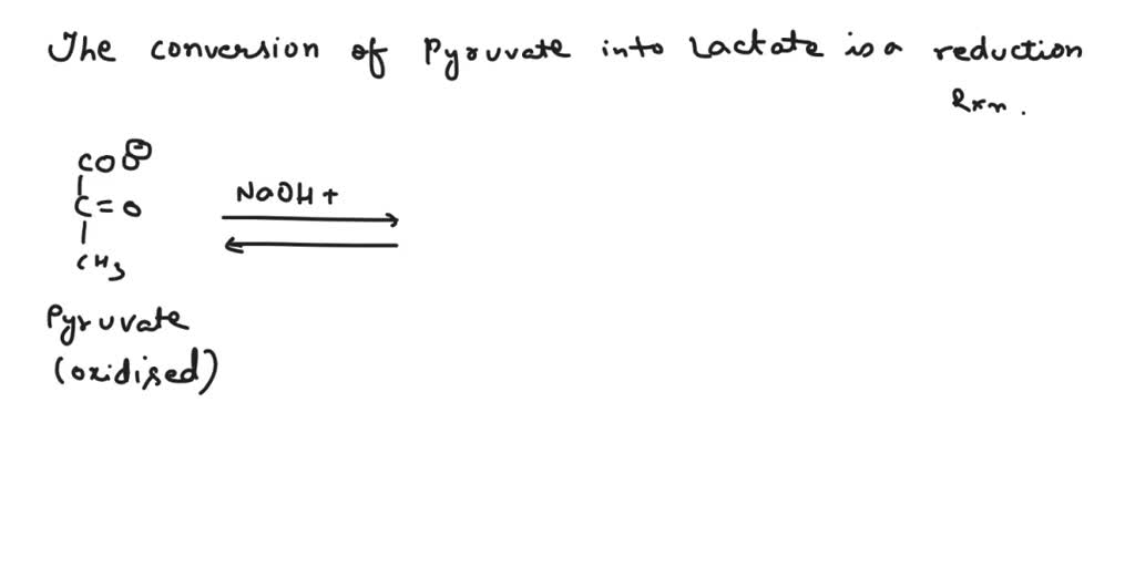 Solved A Is The Conversion Of Pyruvate To Lactate An Oxidation Or