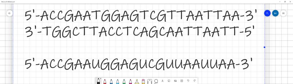 SOLVED: Transcribe the messenger RNA (mRNA) codons in the table below ...
