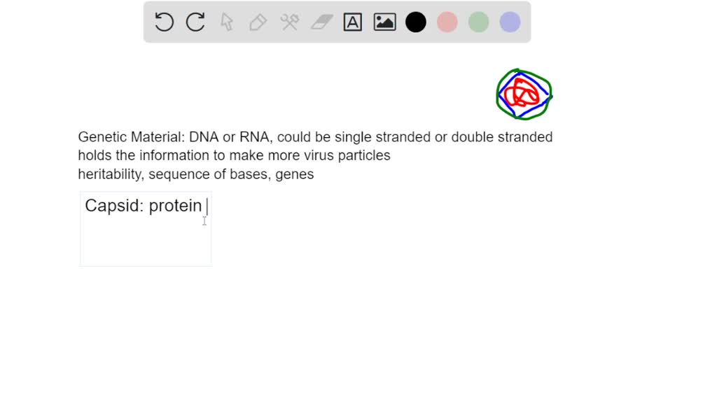SOLVED: While viruses are considered by most scientists to be nonliving ...