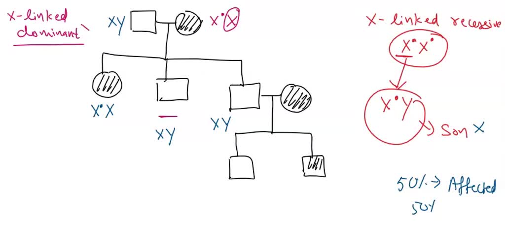 SOLVED: Question 21 1 Point Scientists interested in personality trait ...