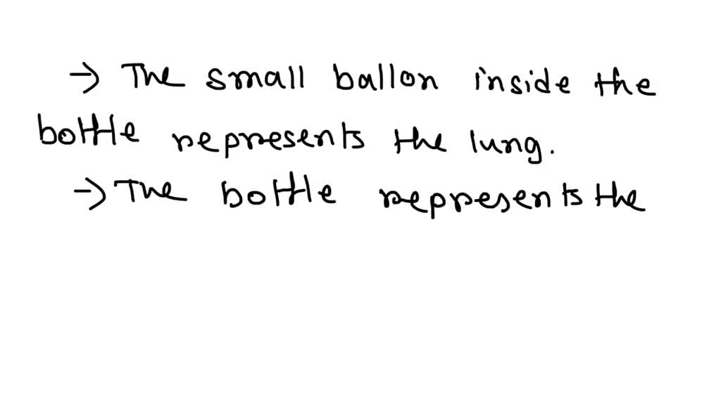 SOLVED Guide Questions 1 What Does Each Part Of The Constructed Lung solved-guide-questions-1-what-does-each-part-of-the-constructed-lung