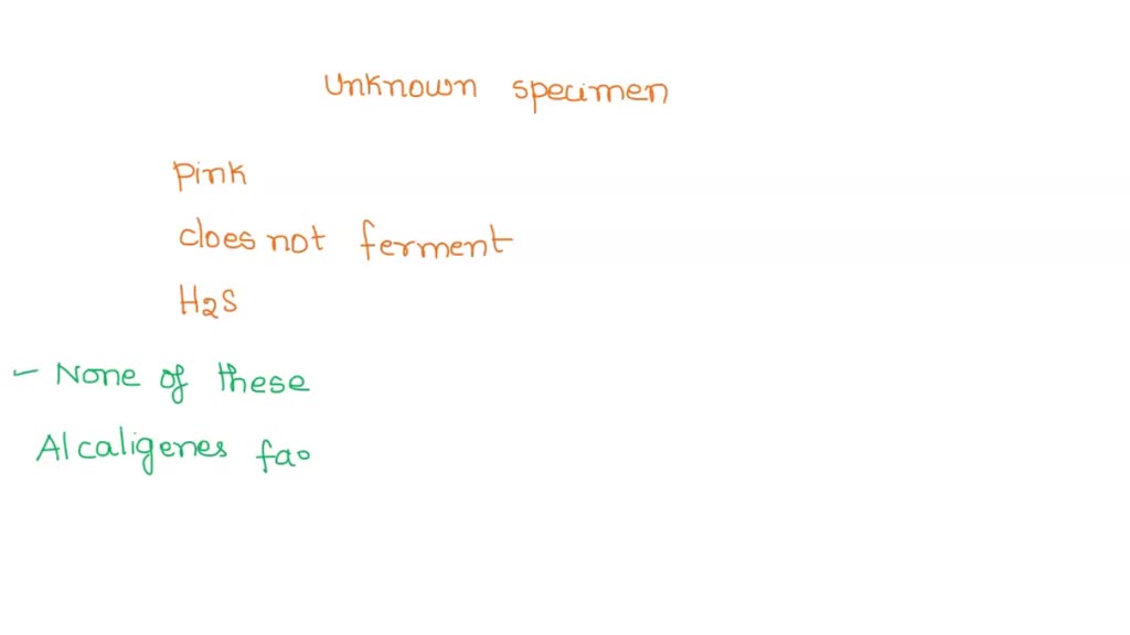 SOLVED: Your unknown specimen yields the following observations: the ...