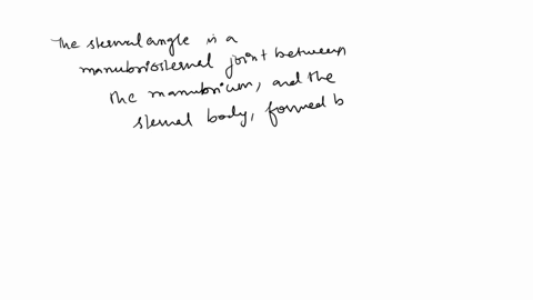 What is the sternal angle and what is its clinical...