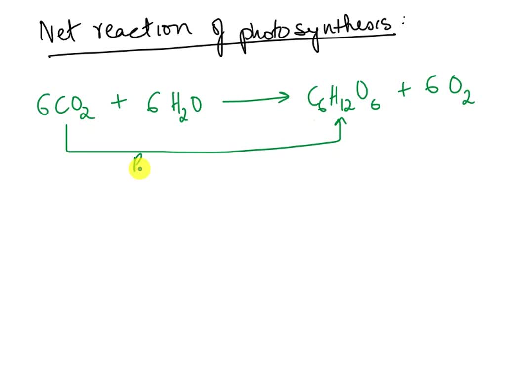 SOLVED: '17. What is the net reaction for photosynthesis? Label the ...