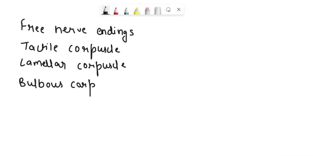 SOLVED: Drag the correct label to the appropriate location to identify ...