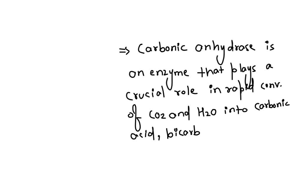 SOLVED: how can you summarize what you have learned this semester the ...