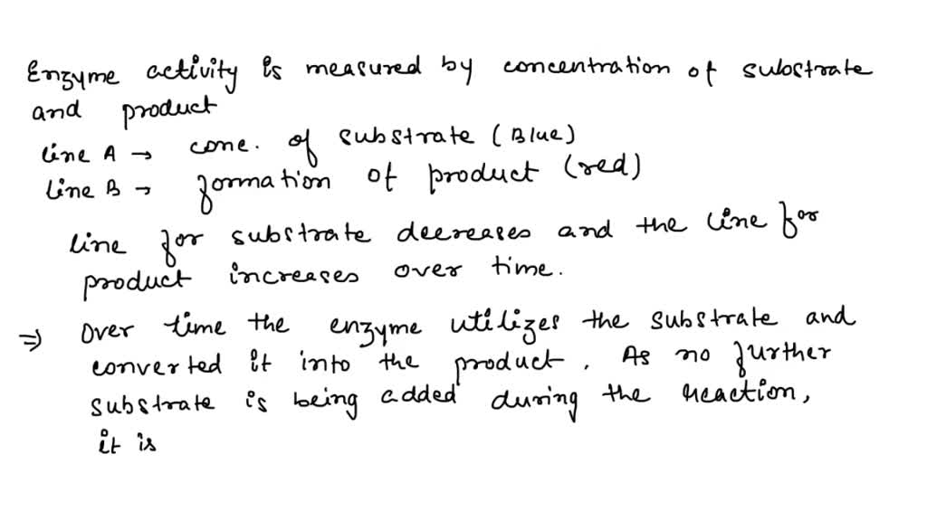 SOLVED: Analyzing Graphs of Enzyme Reactions measured by concentration ...