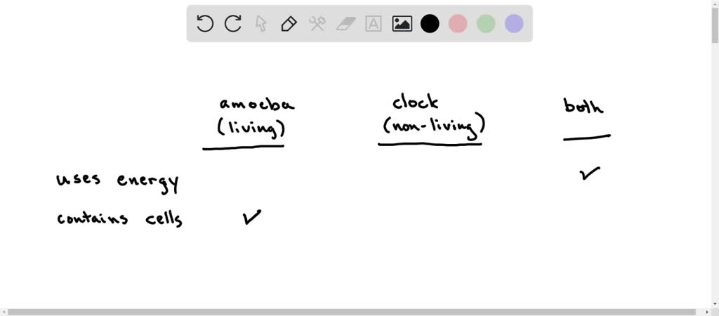 Drag each label to the correct location on the image. Classify each ... Drag each label to the correct location on the image. Classify each ...