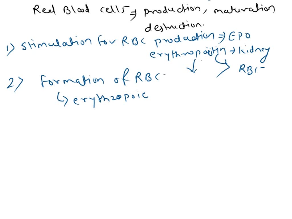 SOLVED: Describe the life of a red blood cell. Include in your ...