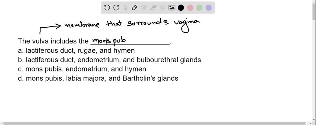 SOLVED: The labia majora develop from the , whereas the labia minora ...