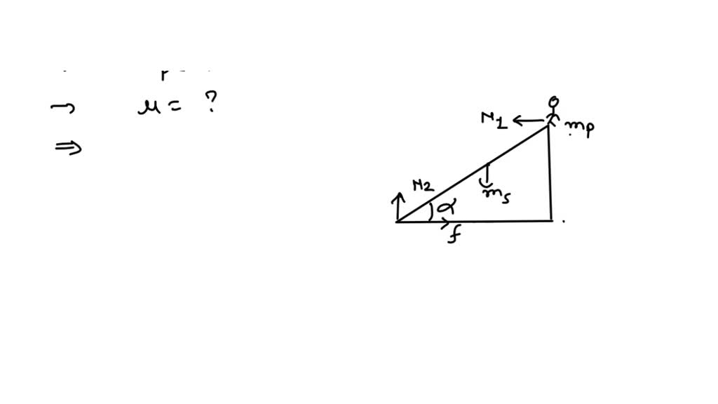 SOLVED: A ladder of length and mass ms leans on a frictionless wall ...