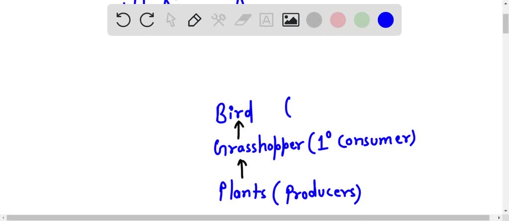 SOLVED: Draw a food pyramid for both a stream ecosystem and terrestrial ...