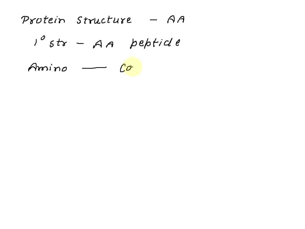 SOLVED: 27) In defining the structural elements of protein secondary ...