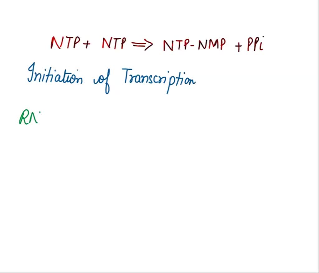SOLVED: NTP + NTP â†’ NTP-NMP + PPi represents: O initiation of DNA ...