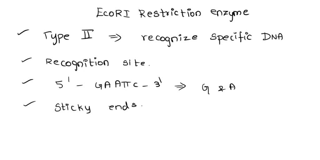 SOLVED: 21 HindIII is a restriction enzyme that cuts the DNA sequence ...
