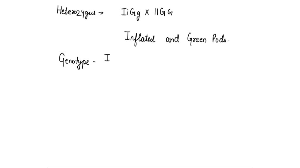SOLVED: A pea plant is heterozygous for both pod shape and color. I is ...