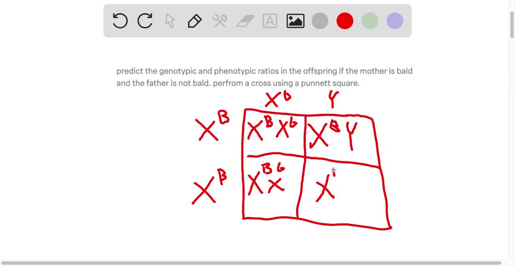 SOLVED: Predict the genotypic and phenotypic ratios in the offspring if ...