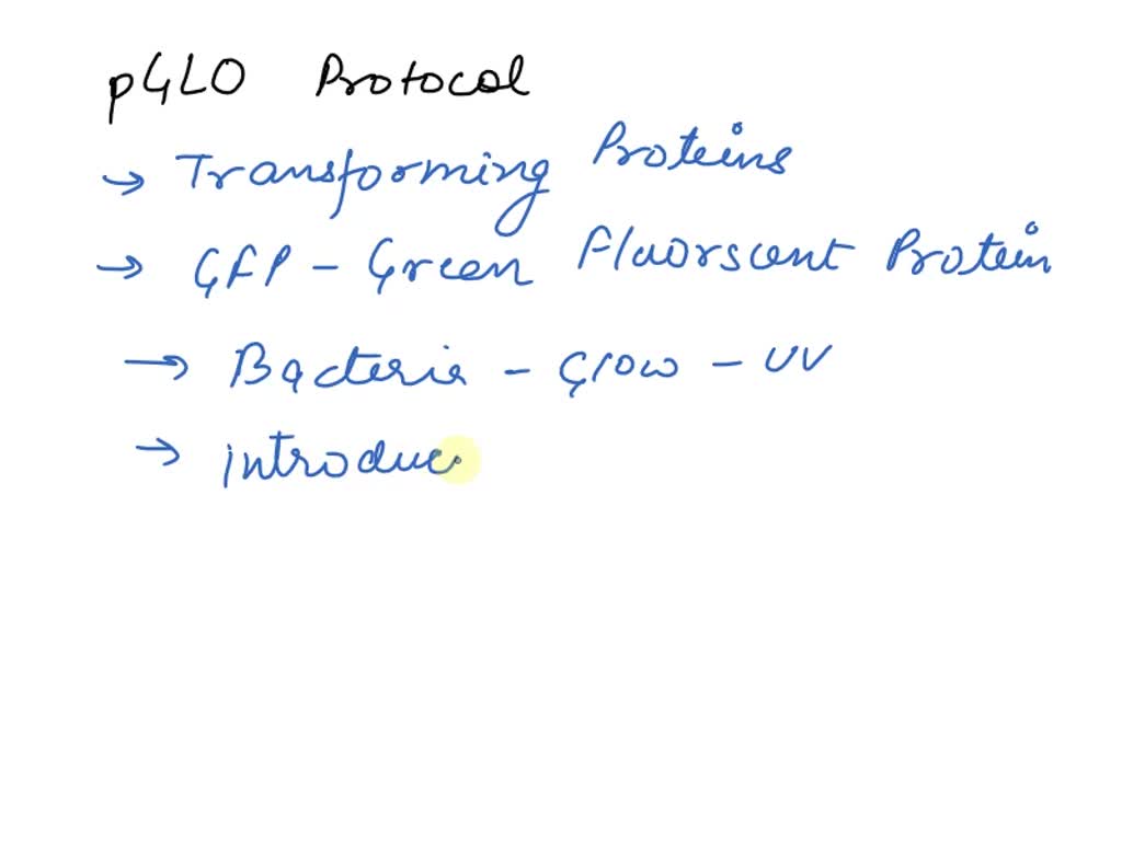 SOLVED: After following the protocol as designed for the pGlo lab, you ...