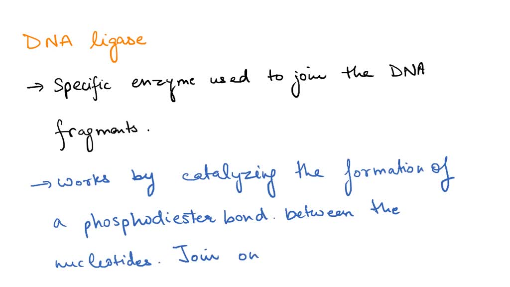 SOLVED:4.) What is the function of DNA Ligase? A. Join DNA strands ...