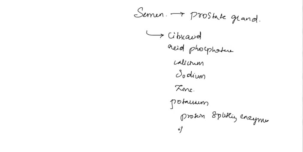 SOLVED: 1. What is the composition or normal semen? 2. What chemical ...