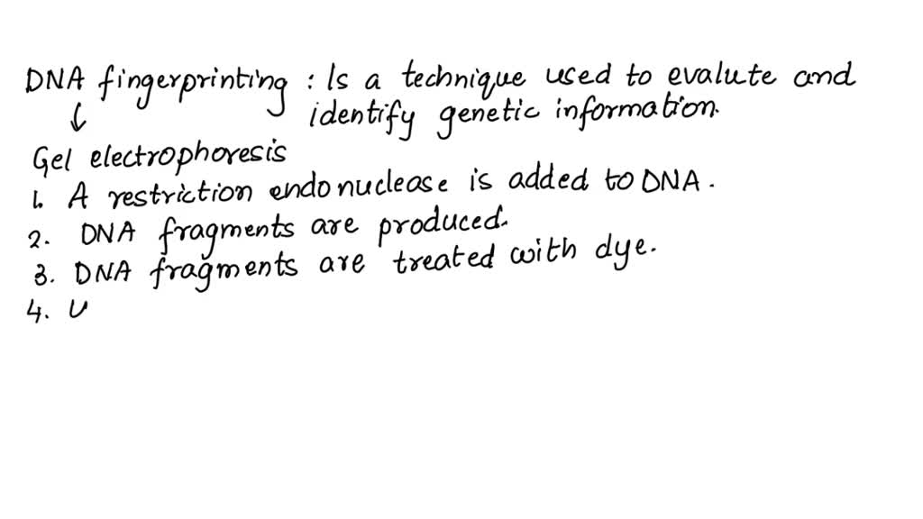 SOLVED: DNA fingerprinting involves using restriction enzymes to cut DNA at a specific sequence ...