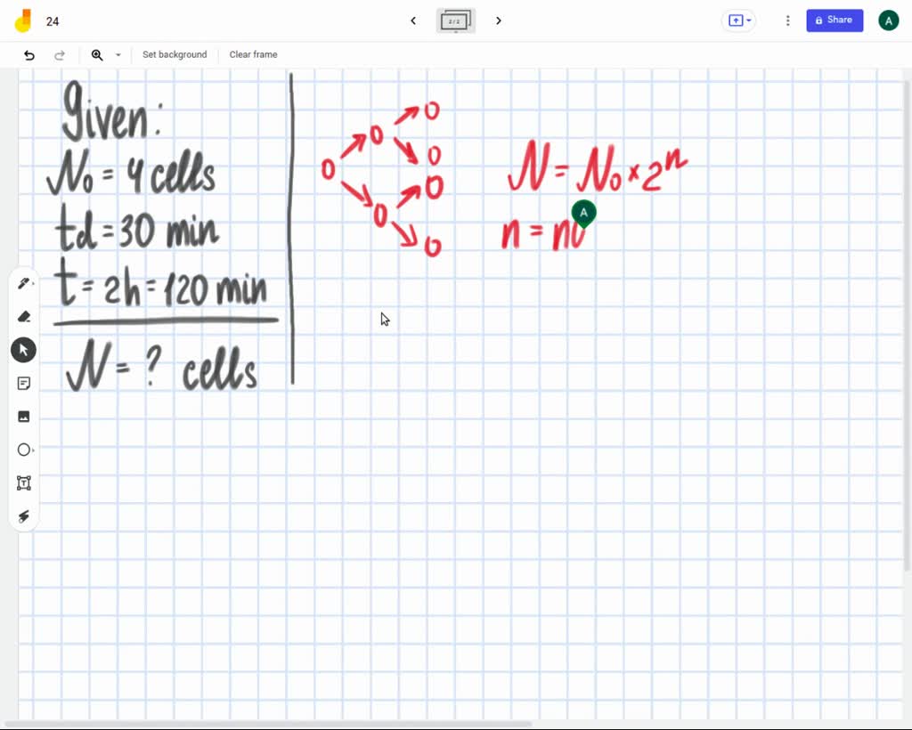 SOLVED: a pastry chef accidentally inoculated a cream pie with cells 3 ...