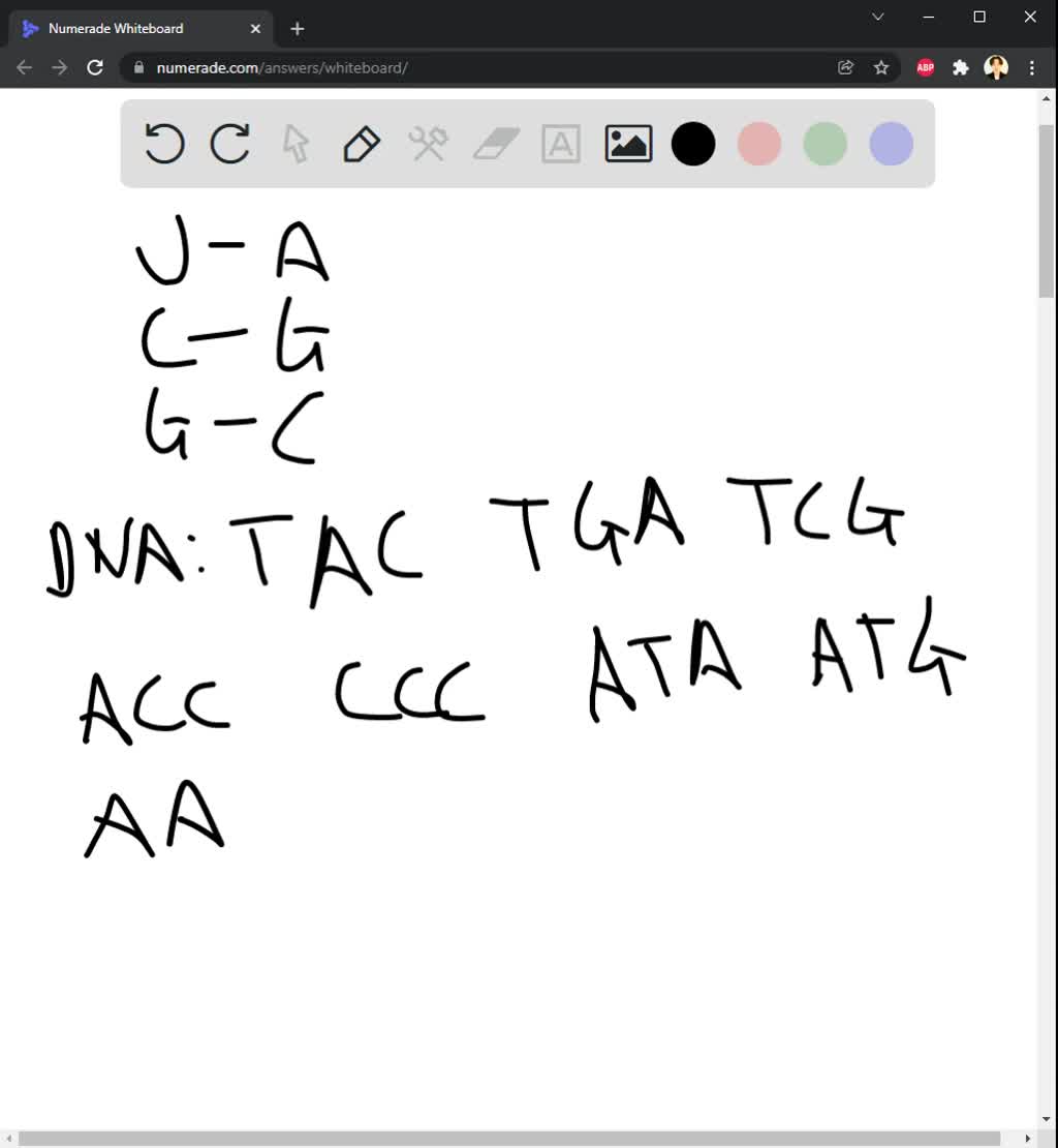 SOLVED: Transcripton and Translation Worksheet For each of the ...