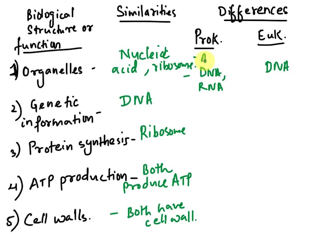 SOLVED: Table 2: Similarities and differences between prokaryotic and eukaryotic cells ...