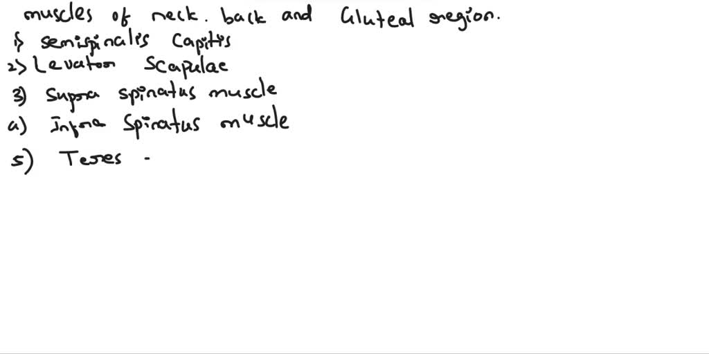 SOLVED: Correctly label the muscles of the neck, back, and gluteal ...