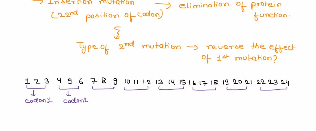 SOLVED: A mutation inserts one nucleotide in the 22nd codon of a ...