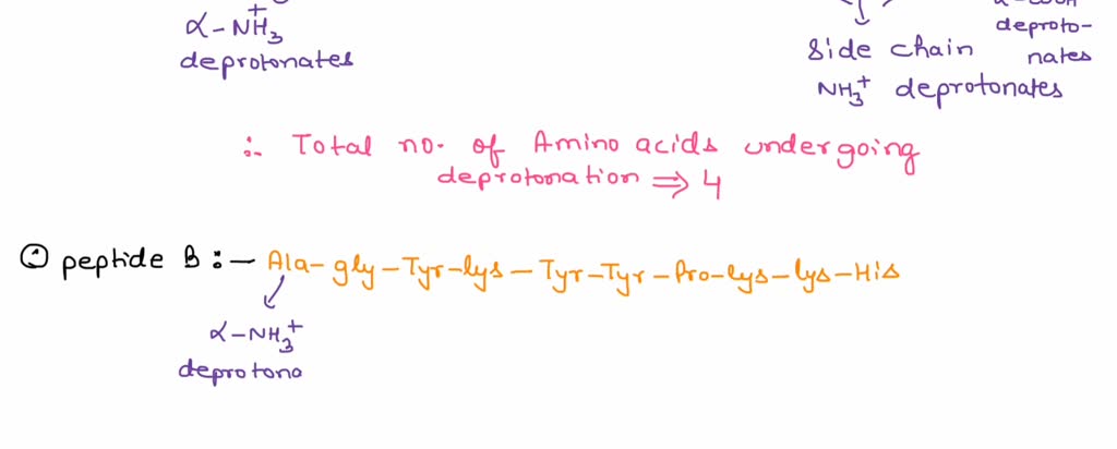 SOLVED: 4. Indicate the peptide that consumes the maximum amount of HCl ...