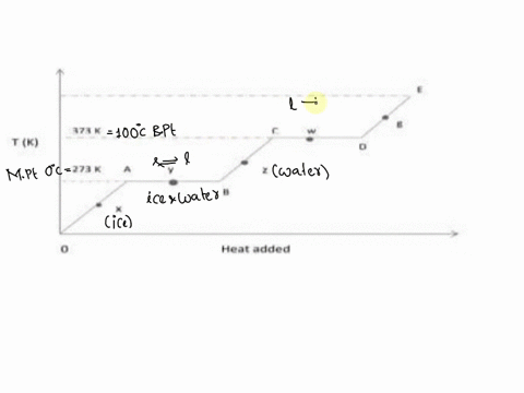 during lab you observed the effect of heat upon the temperature of ice ...
