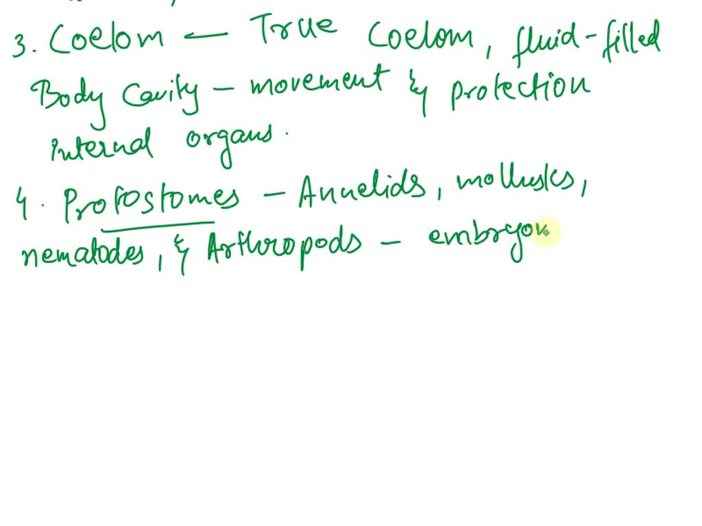 what are the similarities between annelids, mollusks, nematodes, and ...
