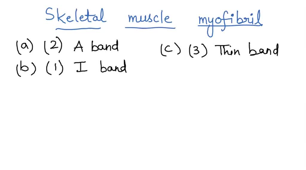 SOLVED: The accompanying figure is a schematic diagram of a ...