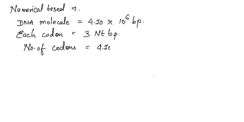 Solved The Genetic Information Contained In Dna Consists Of A Linear Sequence Of Coding Units