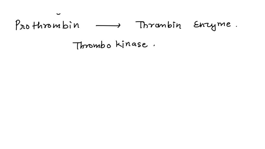 SOLVED Kak Tolong Saya Pleaseee Perhatikan Gambar Berikutl Fungsi
