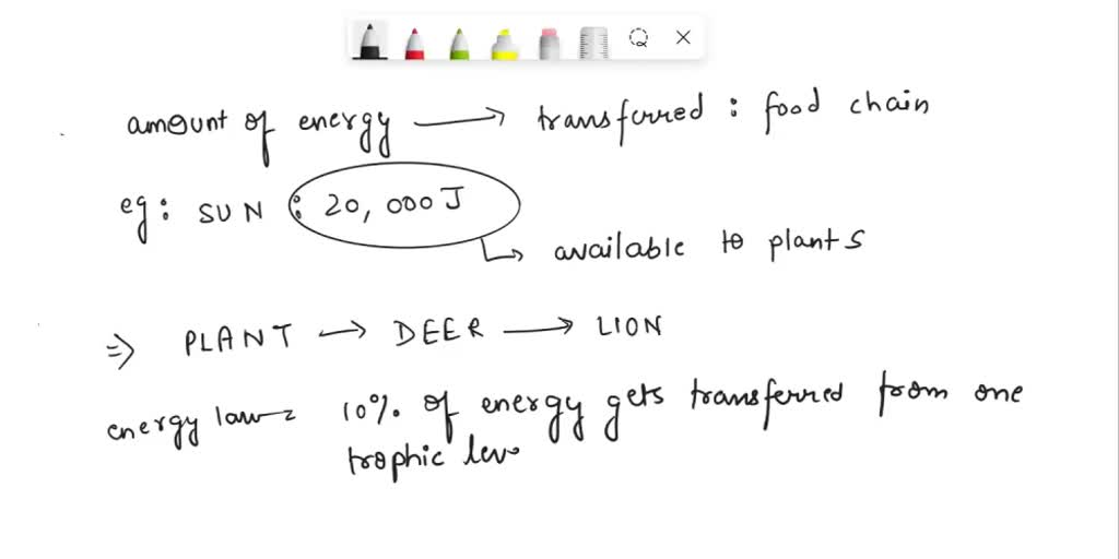 In the following food chain 100 joule of energy is available to the ...
