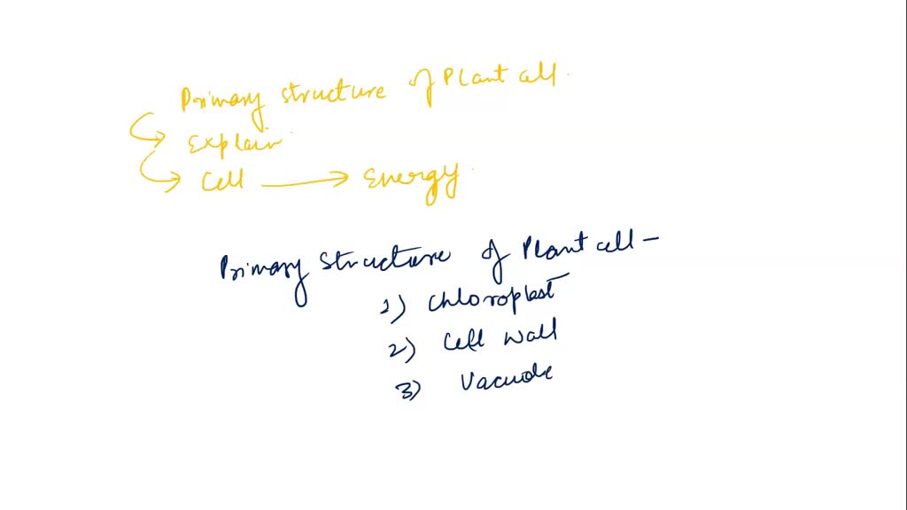 SOLVED: Explain plant cell expansion.