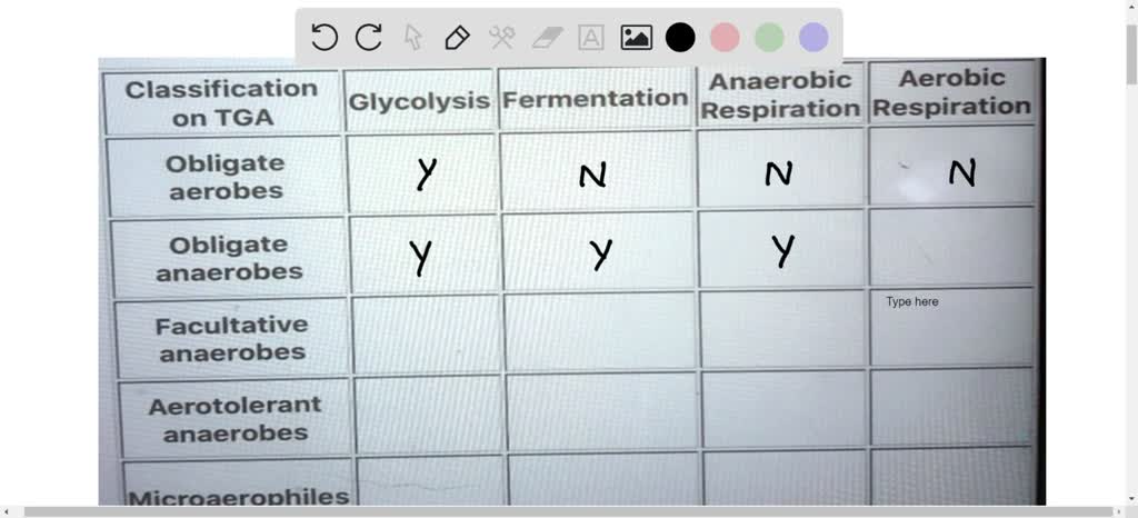 SOLVED: Draw a diagram explaining the diverse forms of bacterial ...