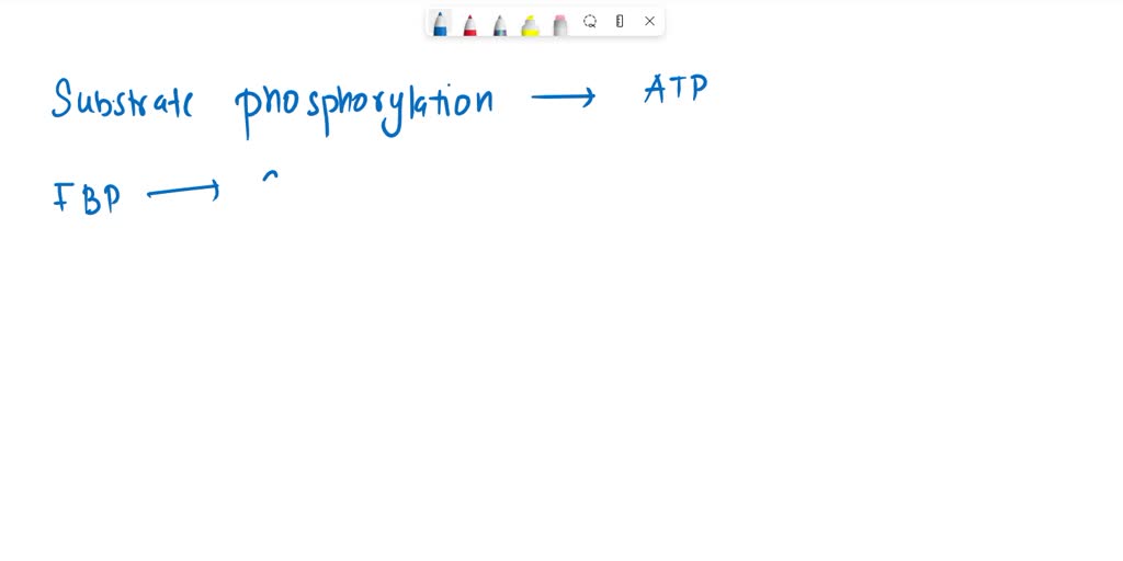 SOLVED: Pyruvate is a direct precursor of anapleurotic reactions which ...