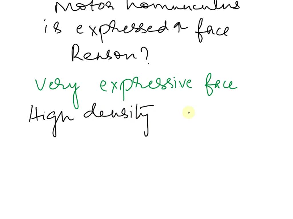 SOLVED: A "motor homunculus" can be visualized as an overlay on the ...