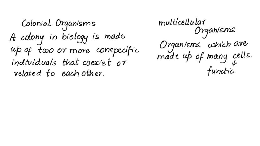 SOLVED: What is a cell feature that distinguishes a colonial organism ...