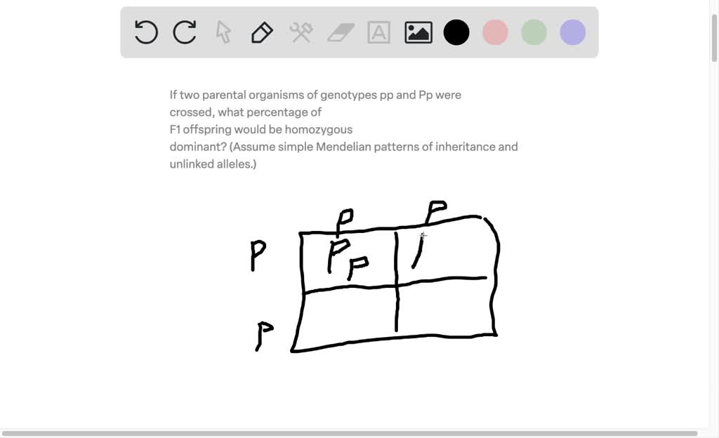 SOLVED: If two parental organisms of genotypes pp and Pp were crossed ...