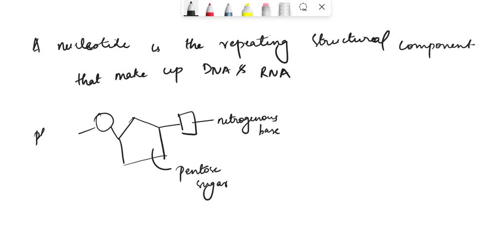 SOLVED: 1) Name the repeating structural components that make up DNA ...
