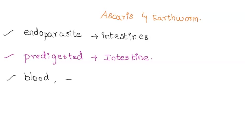 SOLVED: How does the source of food for Ascaris relate to its digestive ...