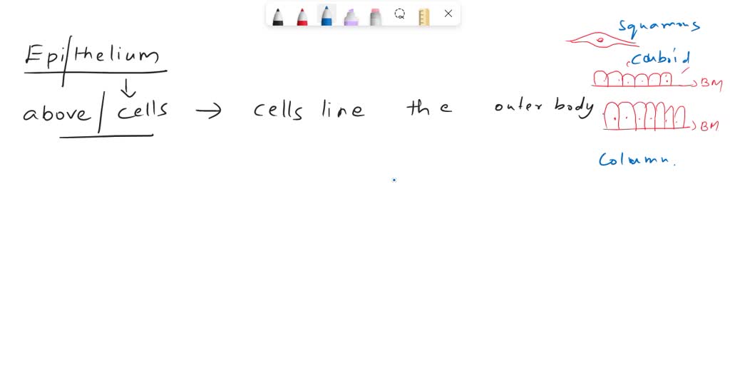 SOLVED: Which of the following epithelial tissues is composed of many layers of cells? Select ...