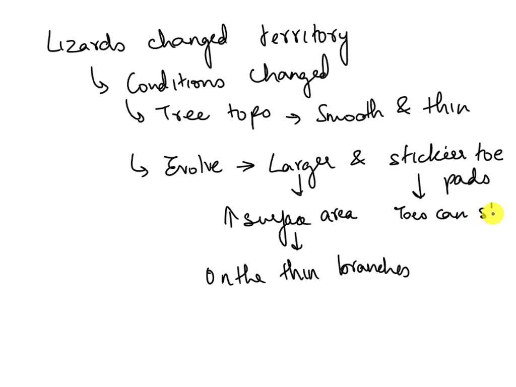 SOLVED: Introduction Educator Progress Adloren64 Help ElTN Trunk-crown ...