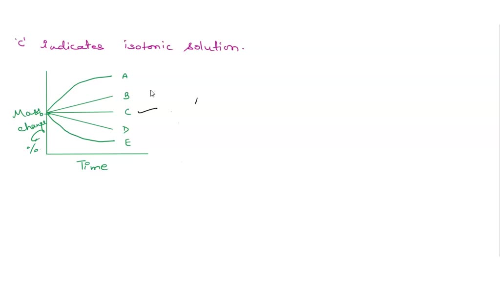 SOLVED: Which line in the graph represents the bag that contained ...