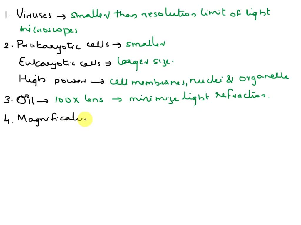 Lab Brightfield Microscope Be able to identify and give functions for ...